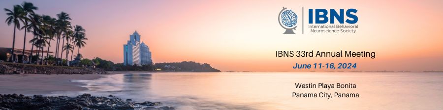 IBNS 2024 33rd Annual Meeting